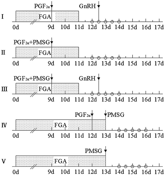 Frontiers | Comparison of Five Protocols of Estrous Synchronization on ...