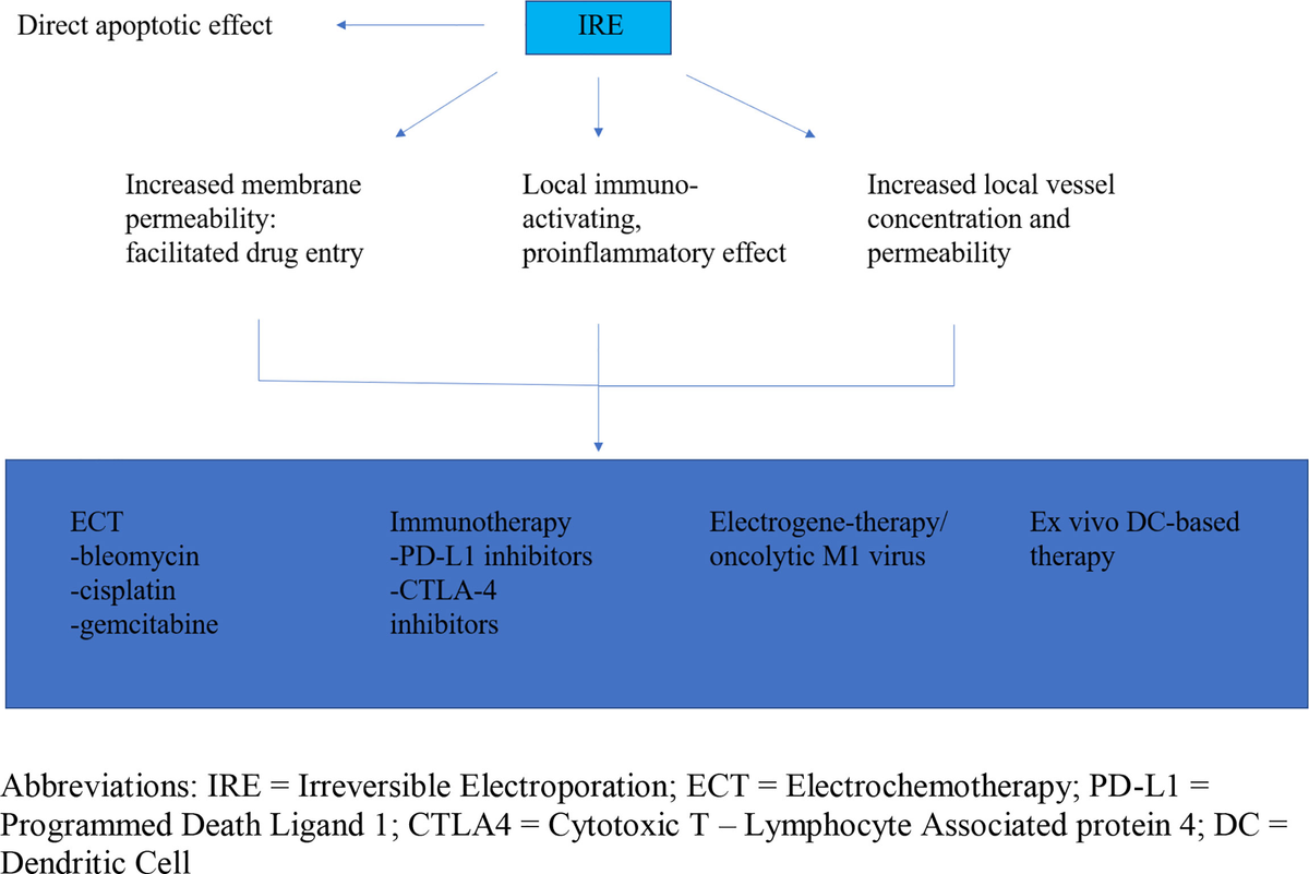 Frontiers | The Synergistic Role of Irreversible Electroporation and ...