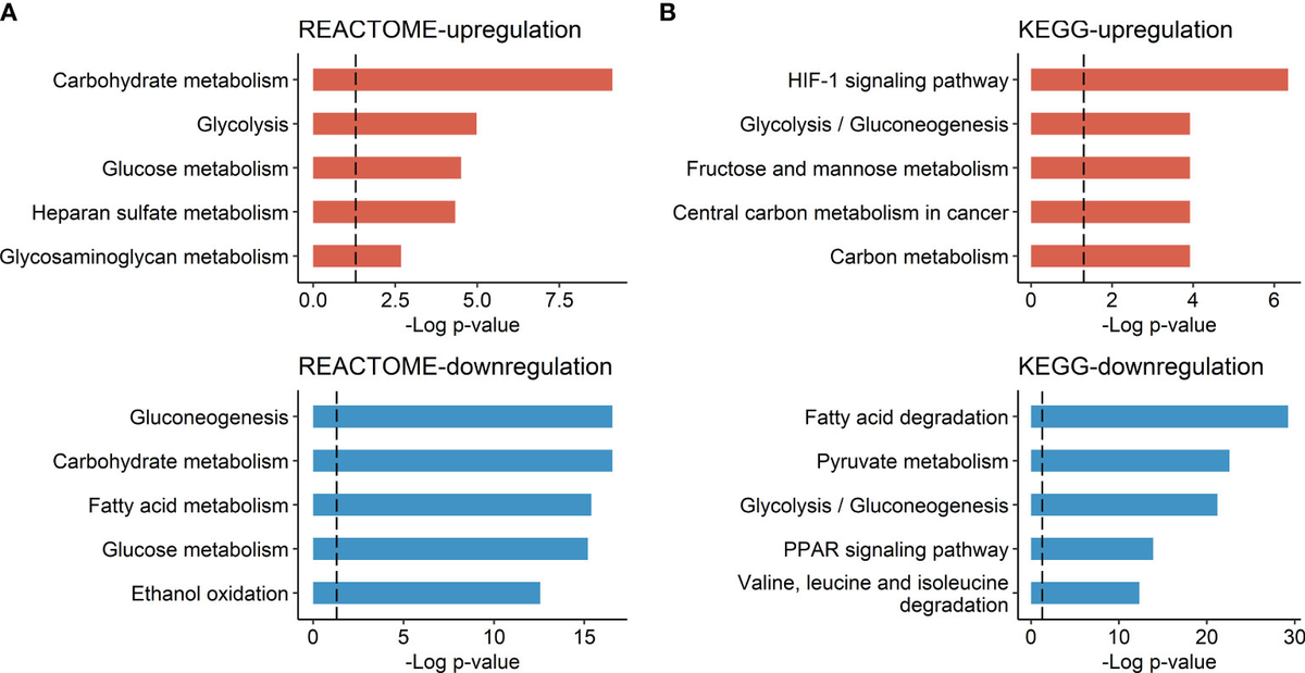 Frontiers | Metabolism-Associated Gene Signatures for FDG Avidity on ...