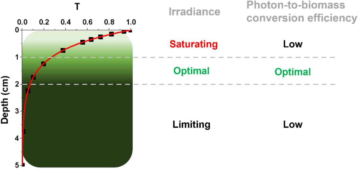 Frontiers | Knowledge of Regulation of Photosynthesis in Outdoor ...