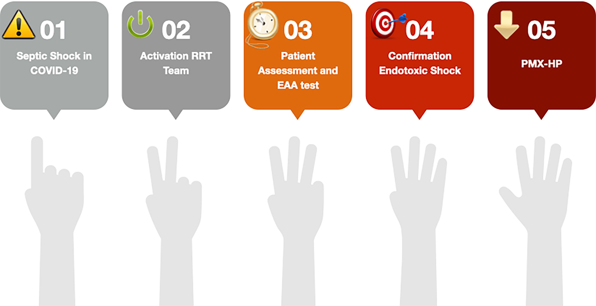 Frontiers | Endotoxin removal therapy with Polymyxin B immobilized ...