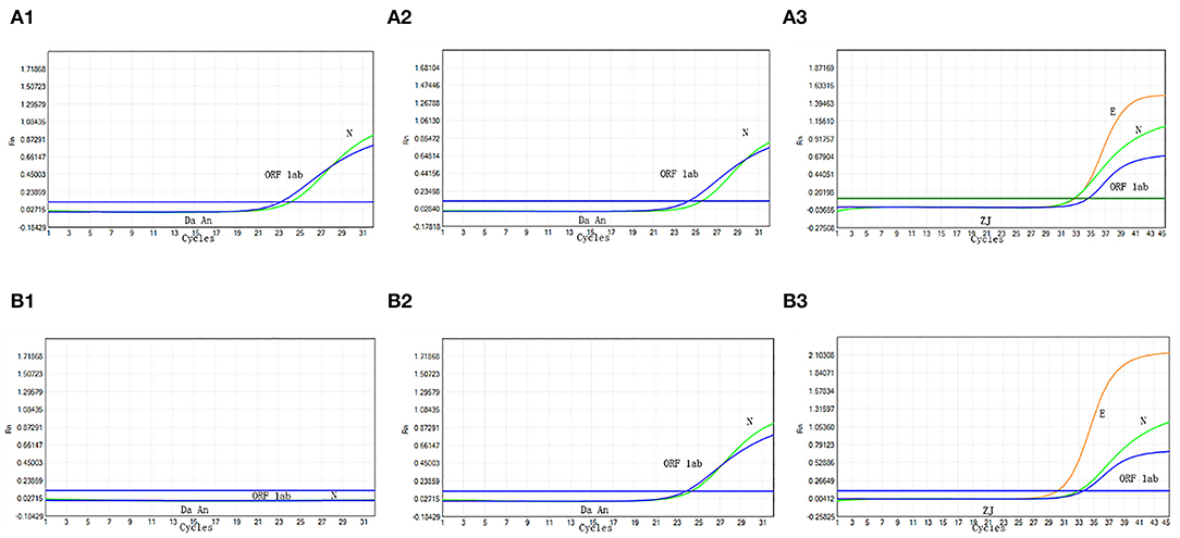 Frontiers | False-Positive Results of SARS-CoV-2 RT-PCR in ...
