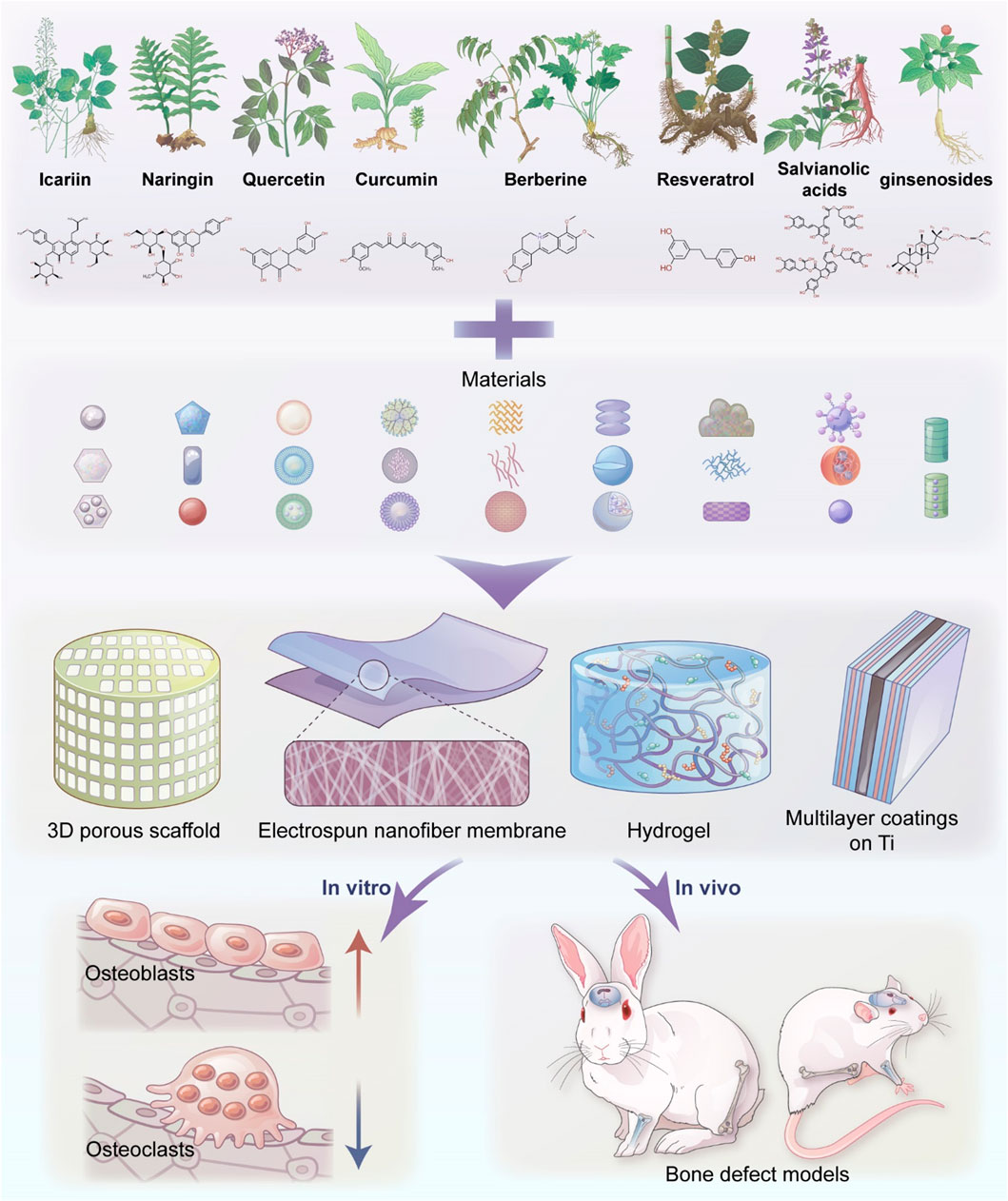 Frontiers | Traditional Chinese Medicine Compound-Loaded Materials in ...