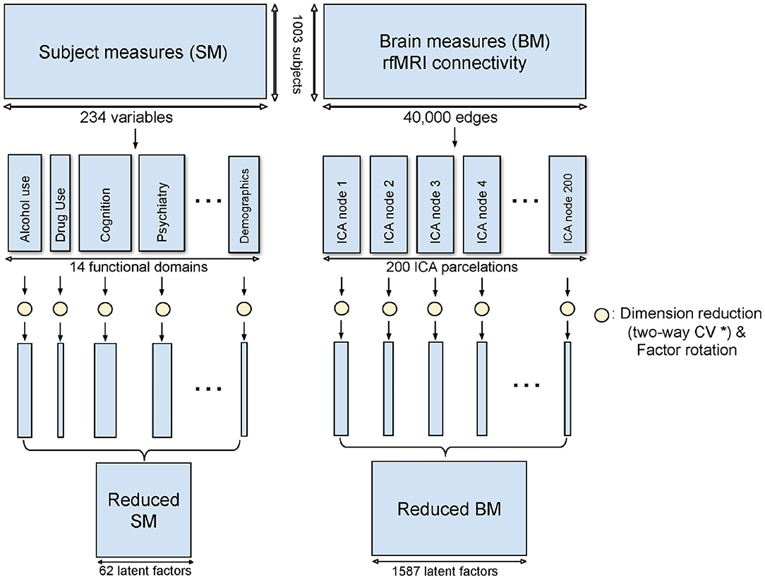Frontiers | Improved Interpretability of Brain-Behavior CCA With Domain-Driven Dimension Reduction