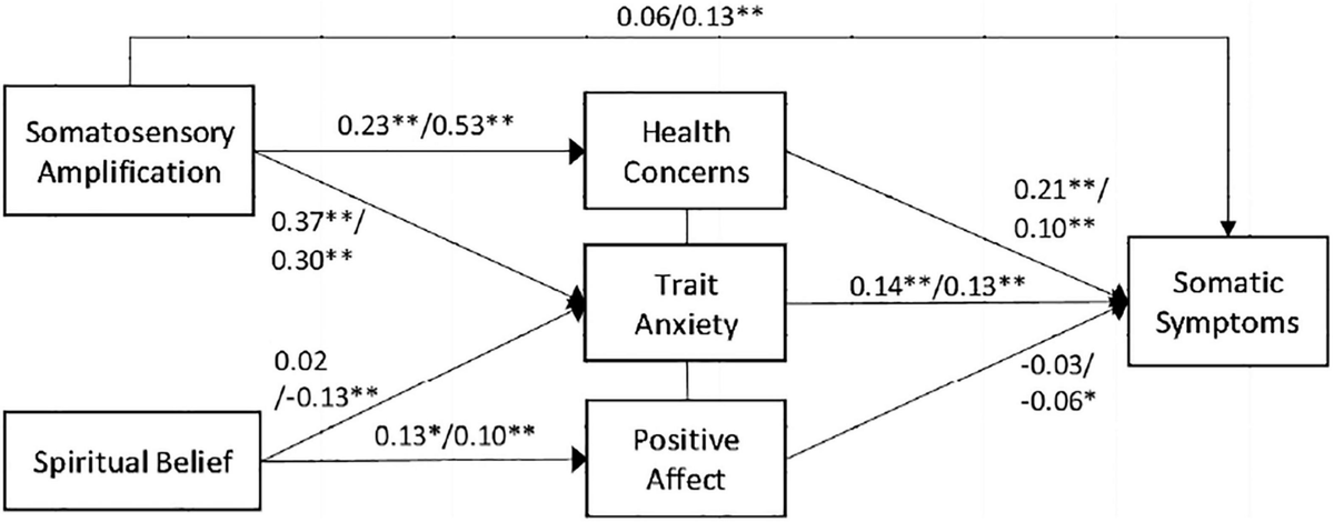 Frontiers | Somatic Symptoms: Association Among Affective State ...