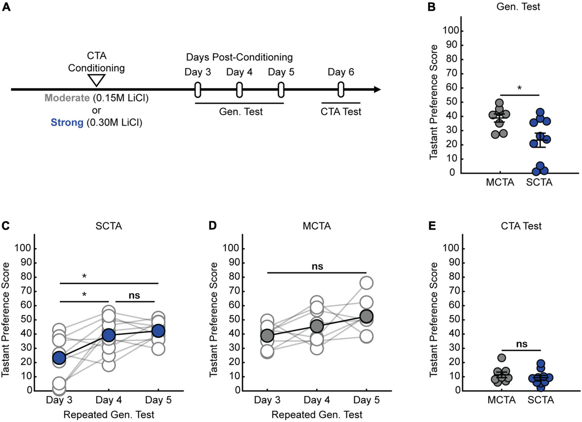 Frontiers | Strong Aversive Conditioning Triggers a Long-Lasting ...