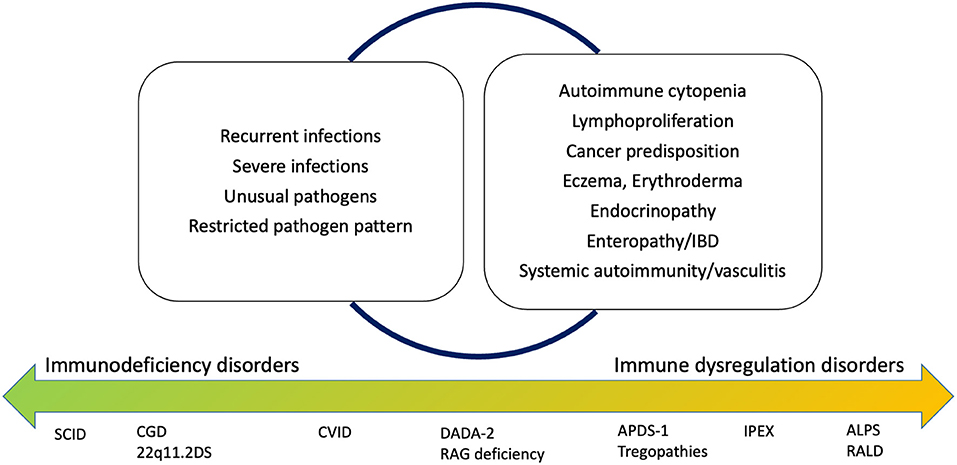 Frontiers | Beyond Infections: New Warning Signs for Inborn Errors of ...