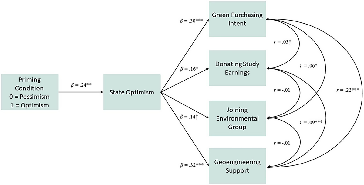 Frontiers | Optimistic Environmental Messaging Increases State Optimism ...