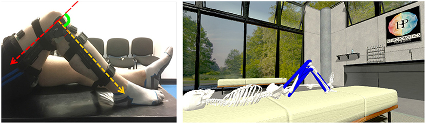 Frontiers | Evaluating Muscle Synergies With EMG Data and Physics ...