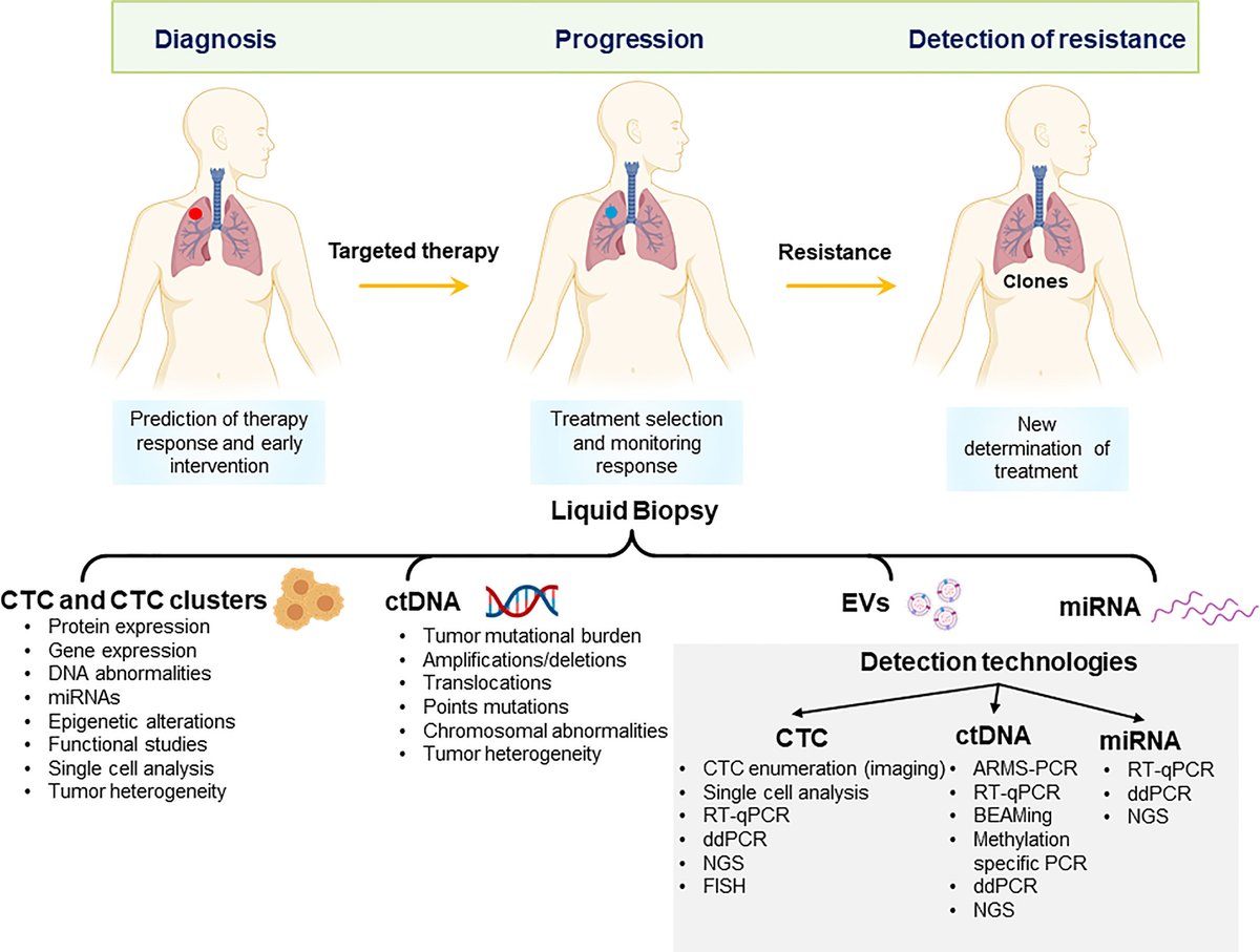 Frontiers | Clinical Applications of Circulating Tumour Cells and Circulating Tumour DNA in Non ...