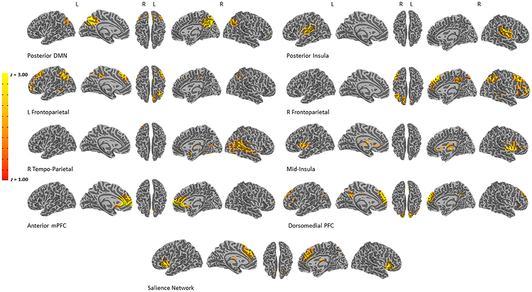 Frontiers | Test-Retest Reliability of fMRI During an Emotion ...
