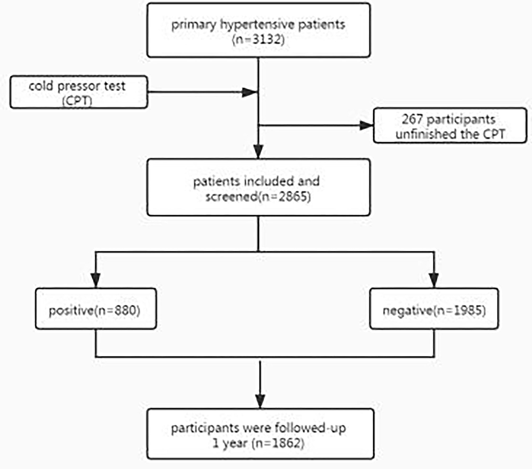 Frontiers | Cold Pressor Test in Primary Hypertension: A Cross ...