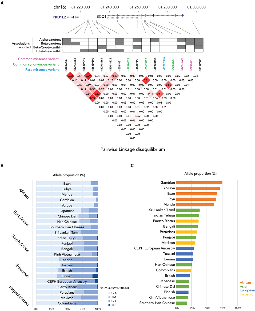 Frontiers | Genetic Variations of Vitamin A-Absorption and Storage ...