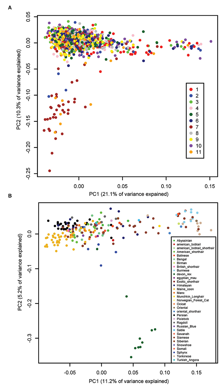 Frontiers | Complex Feline Disease Mapping Using a Dense Genotyping Array