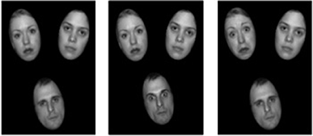 Frontiers | Emotional attentional capture in children with conduct ...