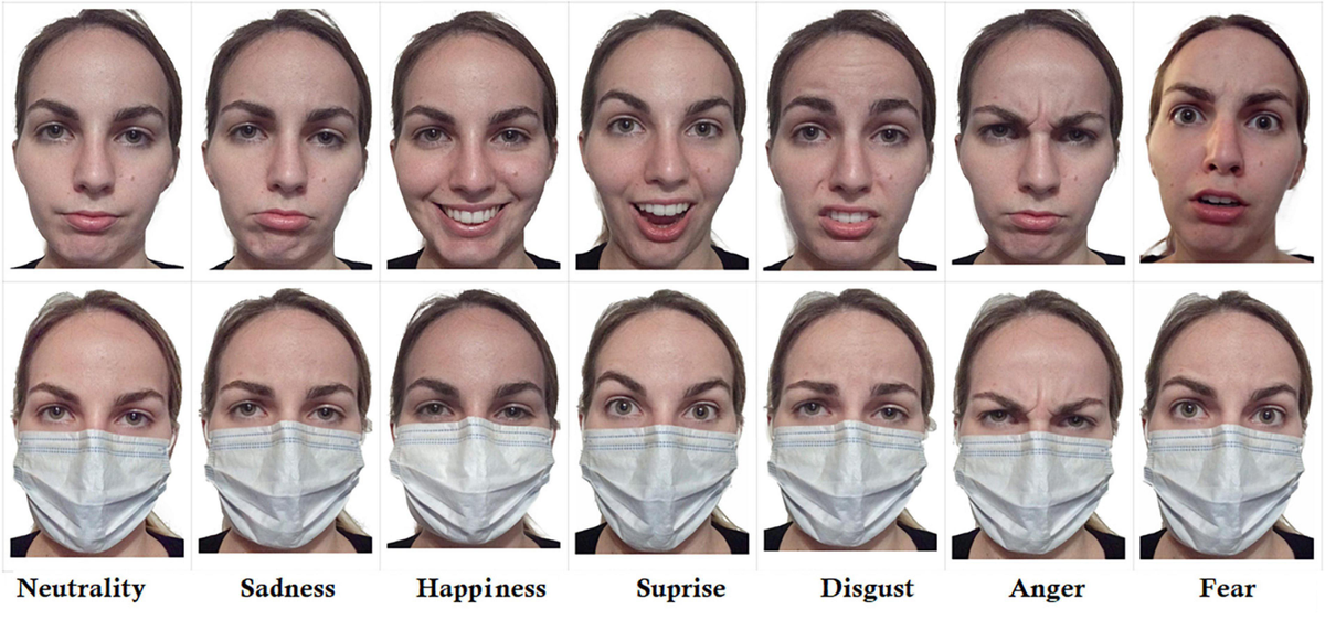 Frontiers | The Recognition of Facial Expressions Under Surgical Masks ...