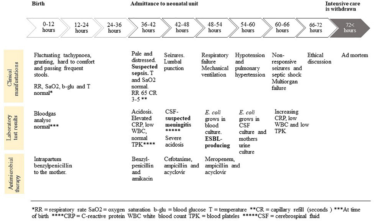 Frontiers | Case Report: Fatal Outcome for a Preterm Newborn With ...