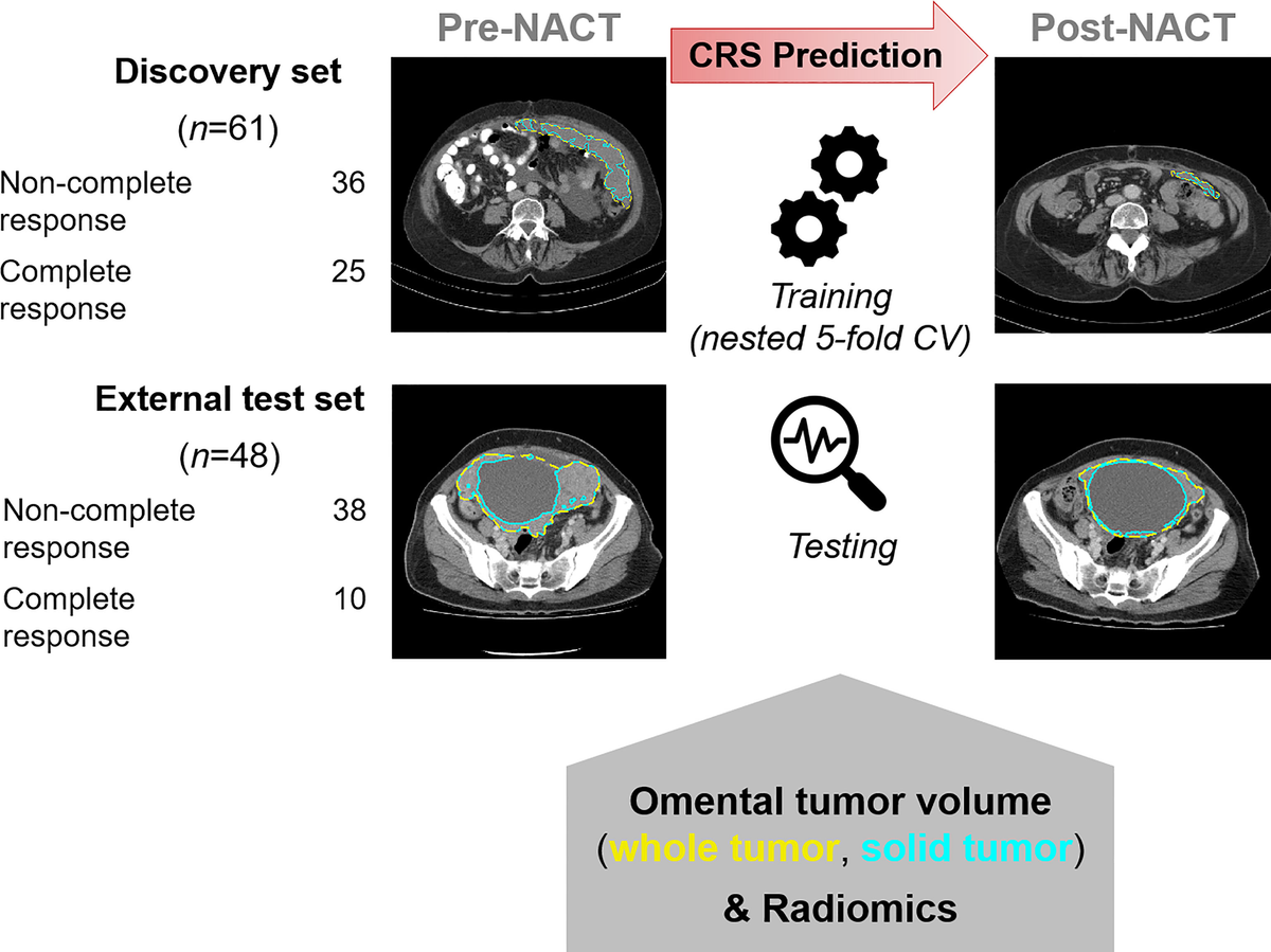 Frontiers | Clinically Interpretable Radiomics-Based Prediction of ...