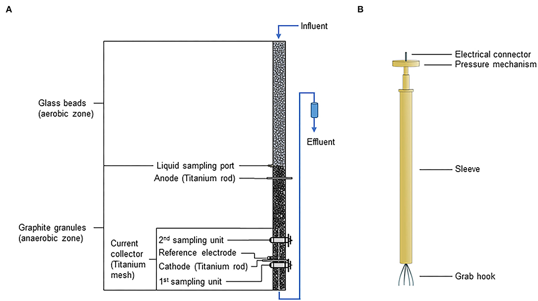 Frontiers | Electrochemical and Microbial Dissection of Electrified ...