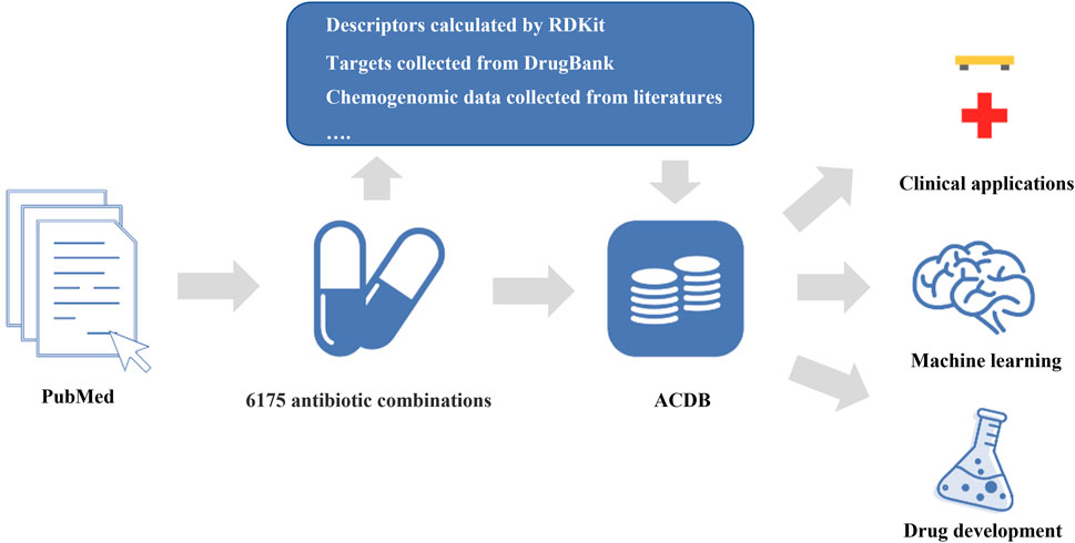 Frontiers | ACDB: An Antibiotic Combination DataBase