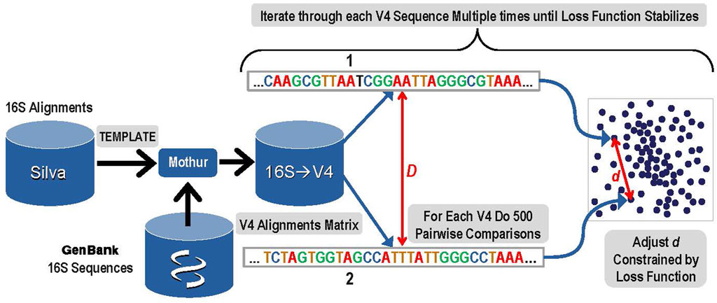 Frontiers | Deep Learning Encoding for Rapid Sequence Identification on Microbiome Data