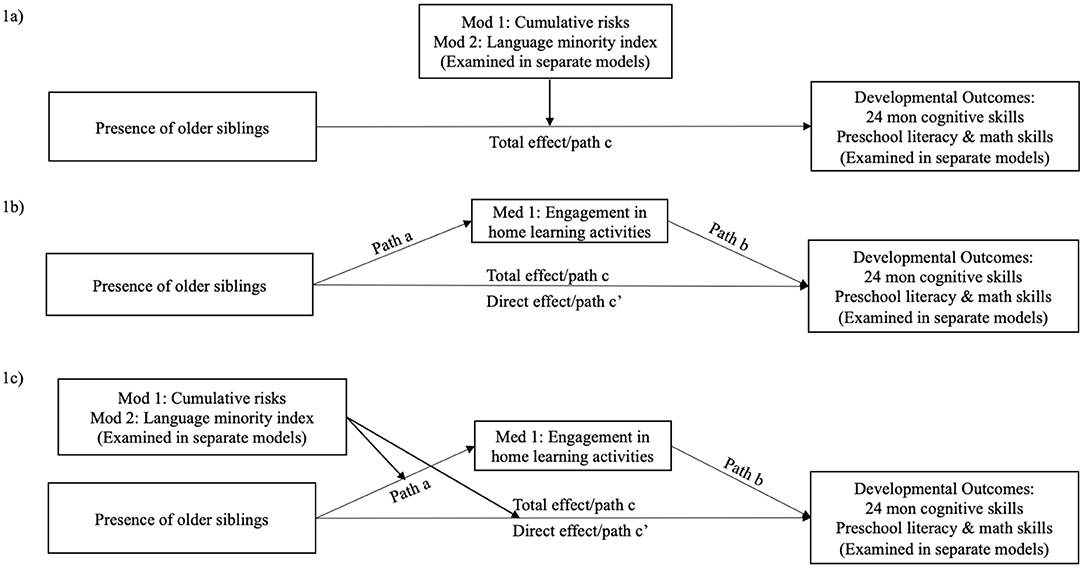 Frontiers | A Closer Look at the Birth Order Effect on Early Cognitive ...