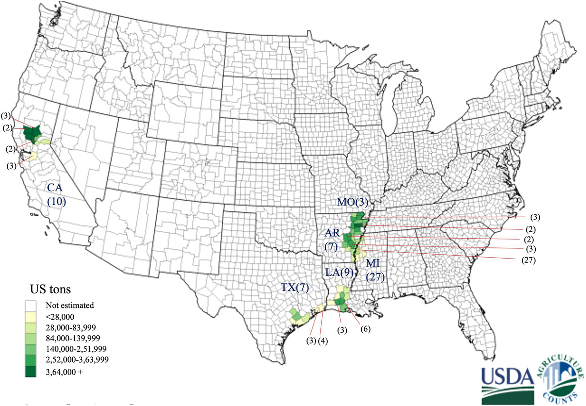 Frontiers | Multi-Locus Sequence Analysis Reveals Diversity of the Rice ...