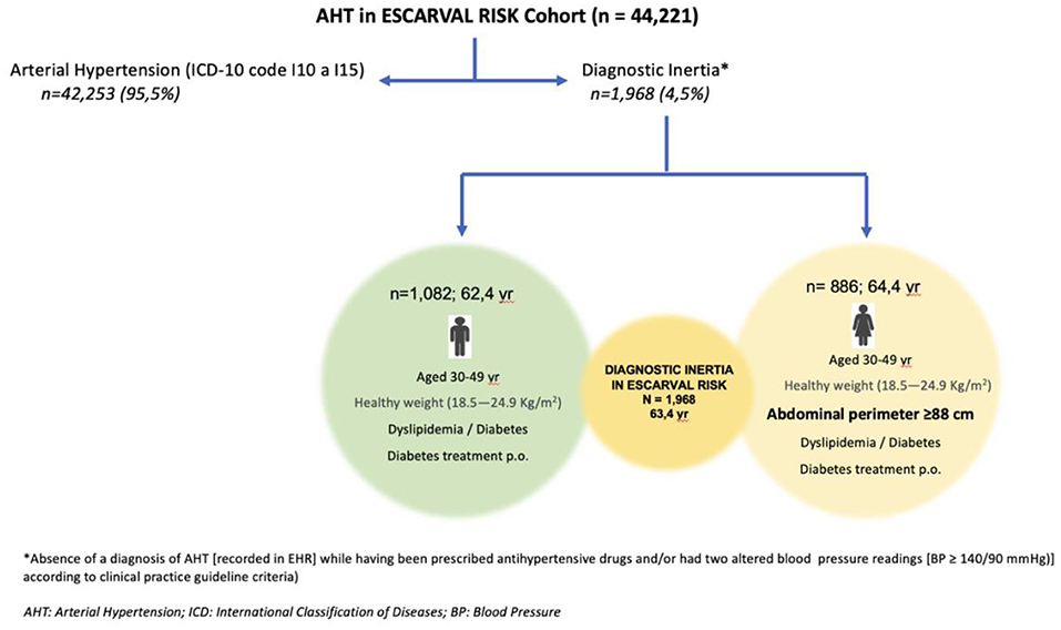 Frontiers | Characterizing Diagnostic Inertia in Arterial Hypertension ...