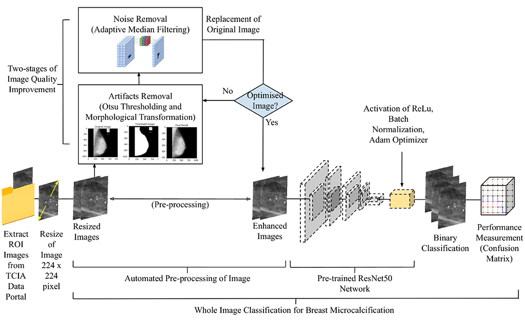 Frontiers | Microcalcification Discrimination in Mammography Using Deep ...