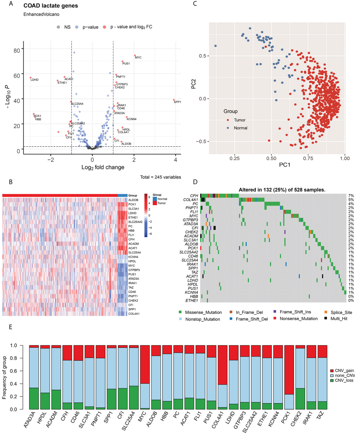 Frontiers | Lactate: A regulator of immune microenvironment and a ...