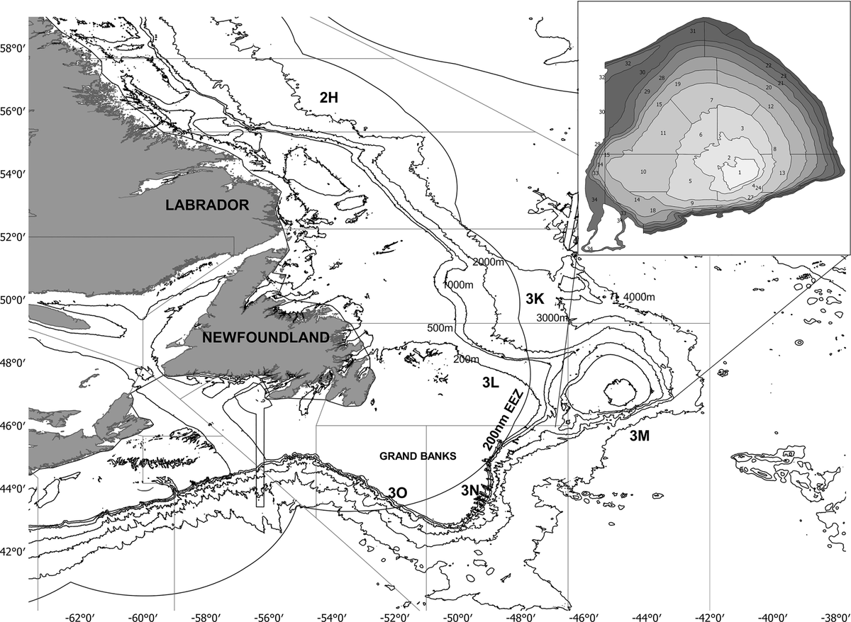 Frontiers | Atlantic Cod Growth History in Flemish Cap Between 1981 and ...