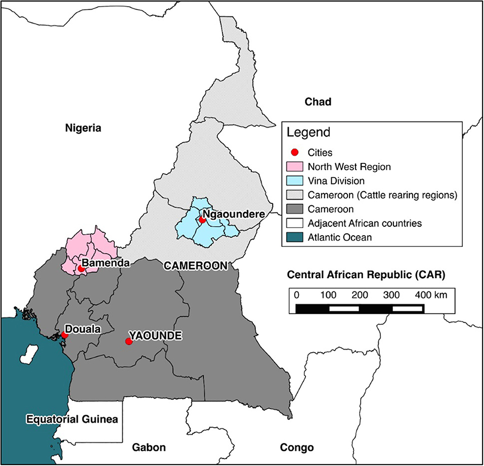 Frontiers | Bovine Tuberculosis Epidemiology in Cameroon, Central ...