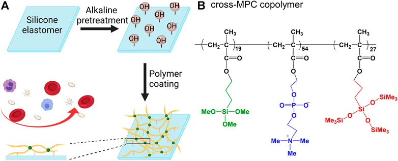 Frontiers | Functionalized Silicone Elastomer via Alkaline Solution to ...