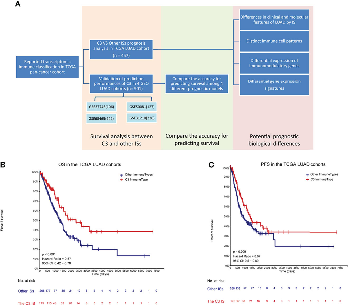 Frontiers | Immune Subtypes in LUAD Identify Novel Tumor ...