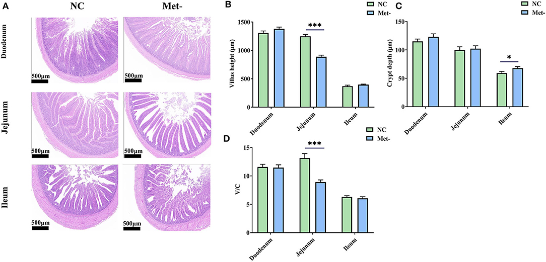 Frontiers | Effect of Methionine Deficiency on the Growth Performance ...