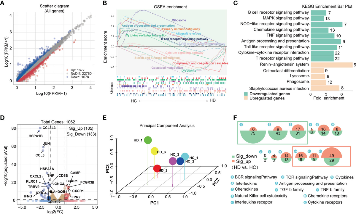 Frontiers | Single-Cell RNA and ATAC Sequencing Reveal Hemodialysis ...