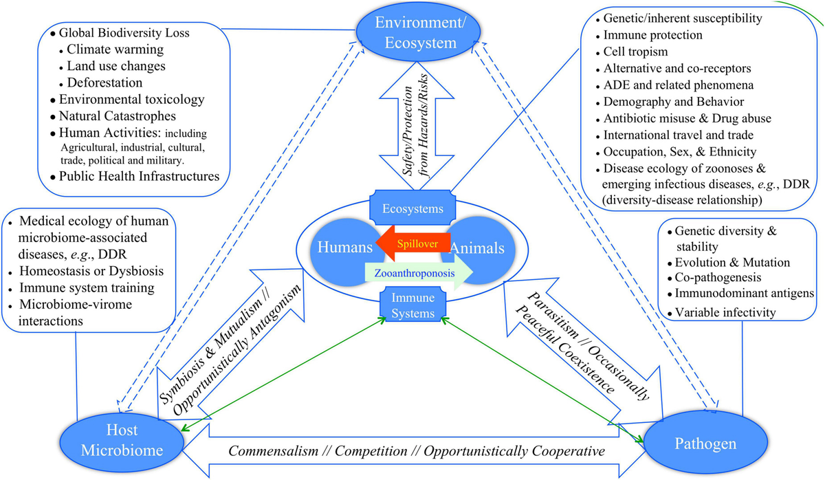Frontiers Ecology Of Human Medical Enterprises From Disease Ecology