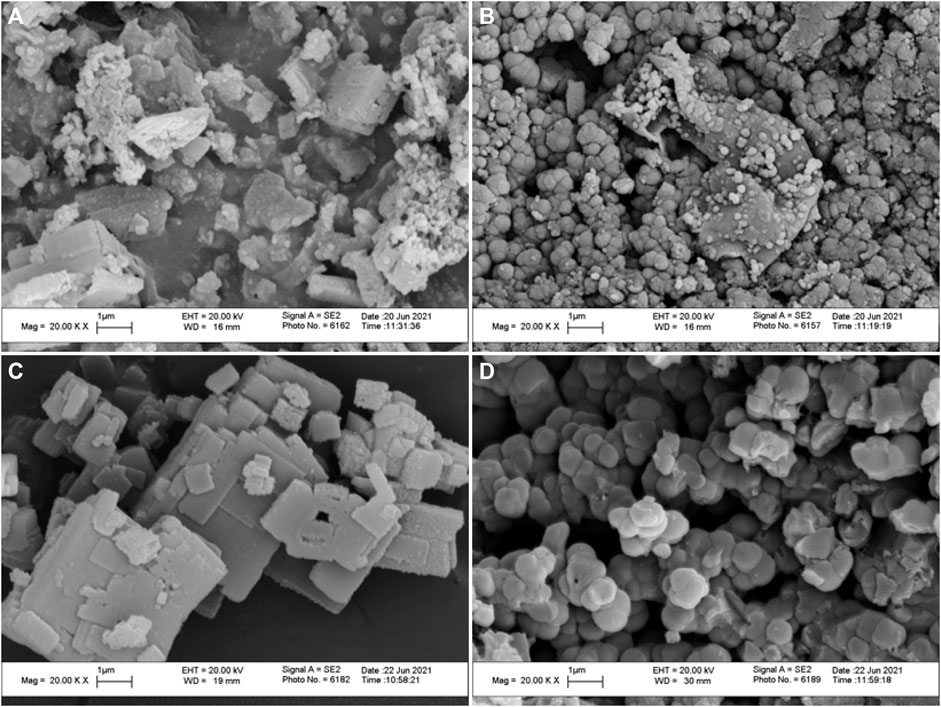 Frontiers | Development of Uniform Porous Carbons From Polycarbazole ...