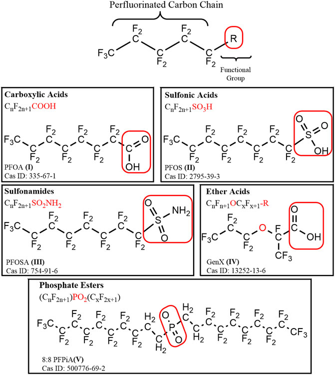 Frontiers | A Critical Review and Meta-Analysis of Impacts of Per- and ...