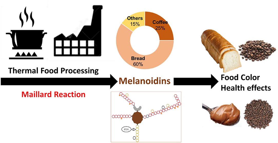 Maillard reaction in food store