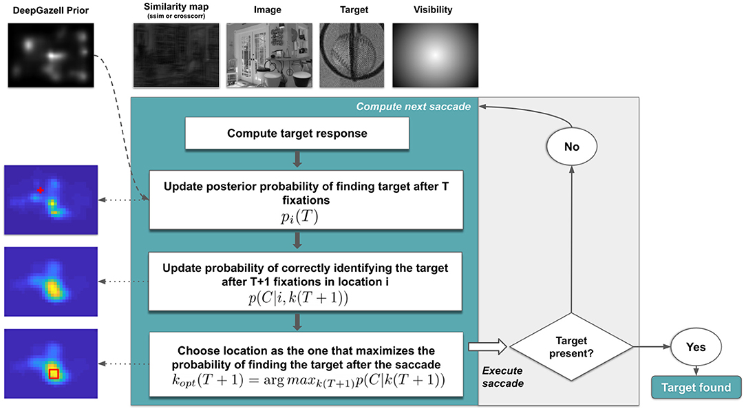 Frontiers | Modeling Human Visual Search in Natural Scenes: A Combined ...
