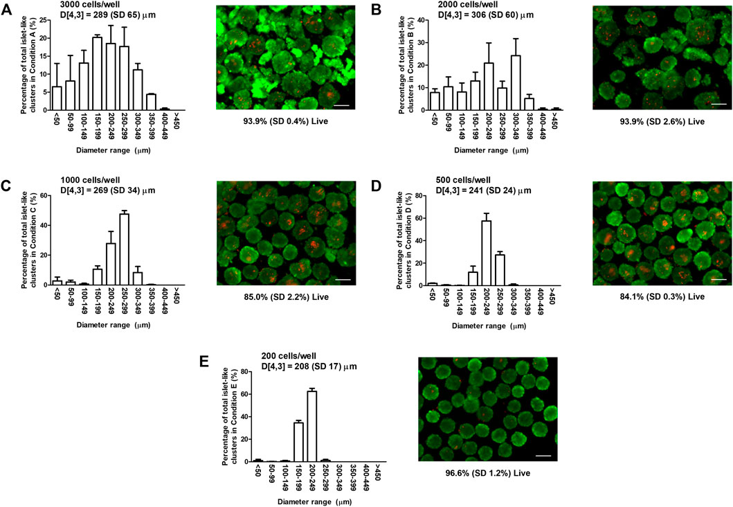 Frontiers | Engineering Vascularized Islet Macroencapsulation Devices ...
