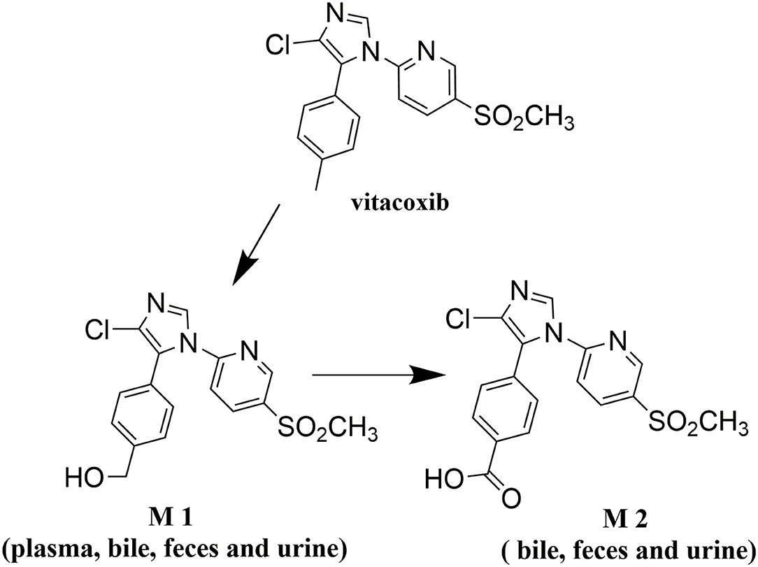 Frontiers | Pharmacokinetics, Tissue Distribution, Metabolism and ...
