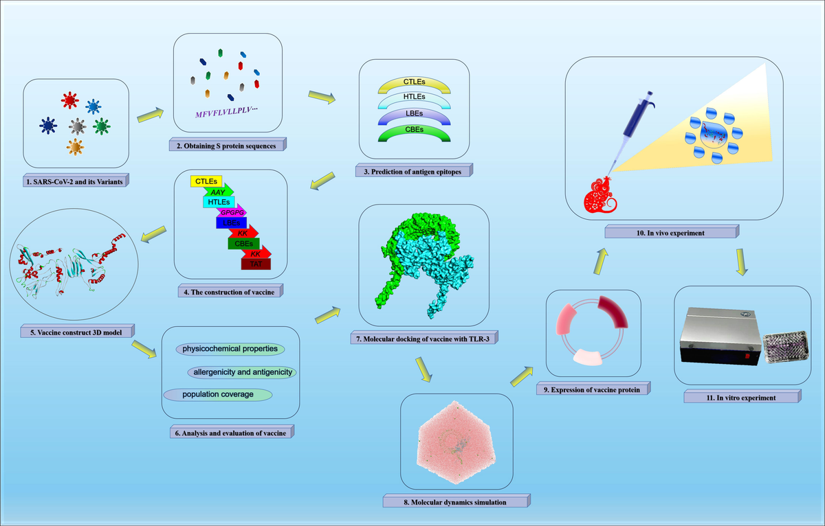 Frontiers | Design of a Recombinant Multivalent Epitope Vaccine Based ...