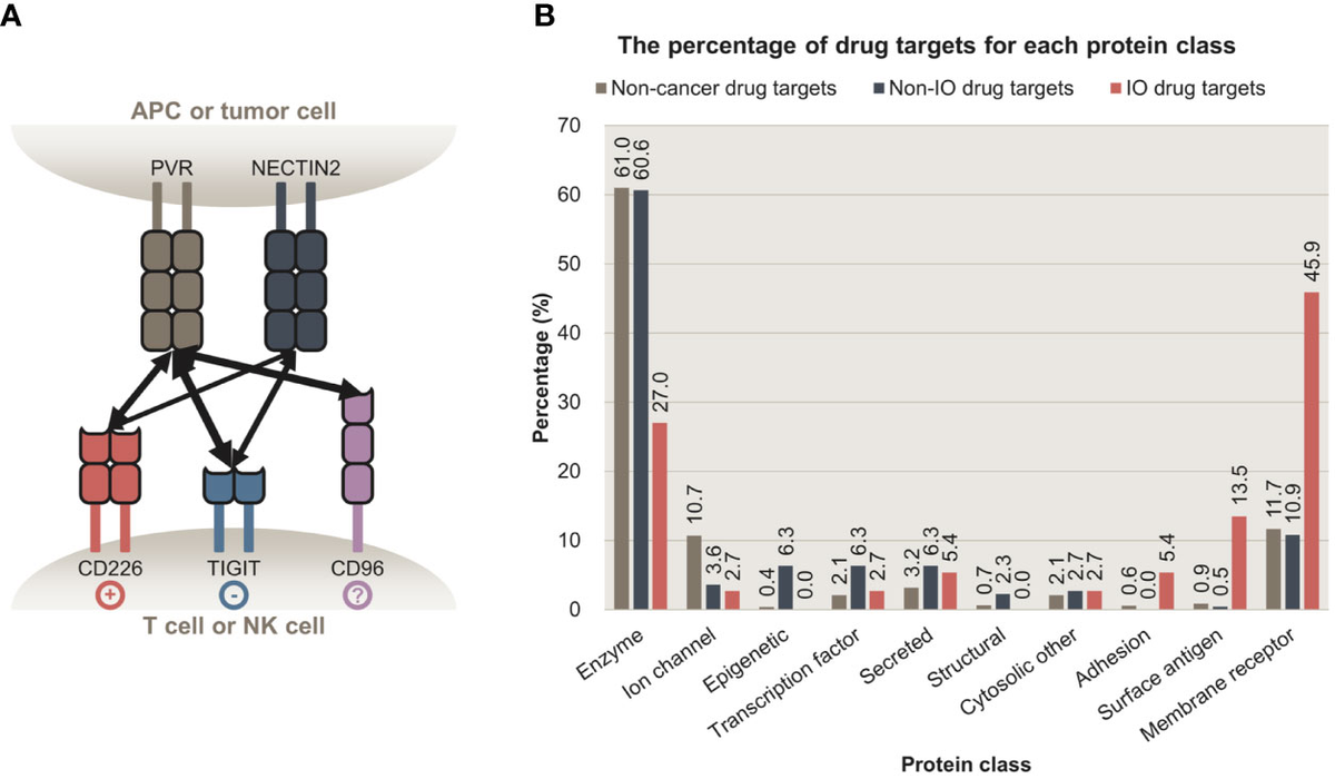 Frontiers | Computational Discovery of Cancer Immunotherapy Targets by ...