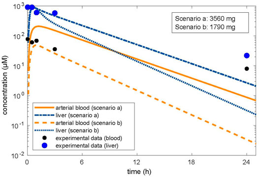 Frontiers | In Vitro–In Vivo Extrapolation by Physiologically Based ...
