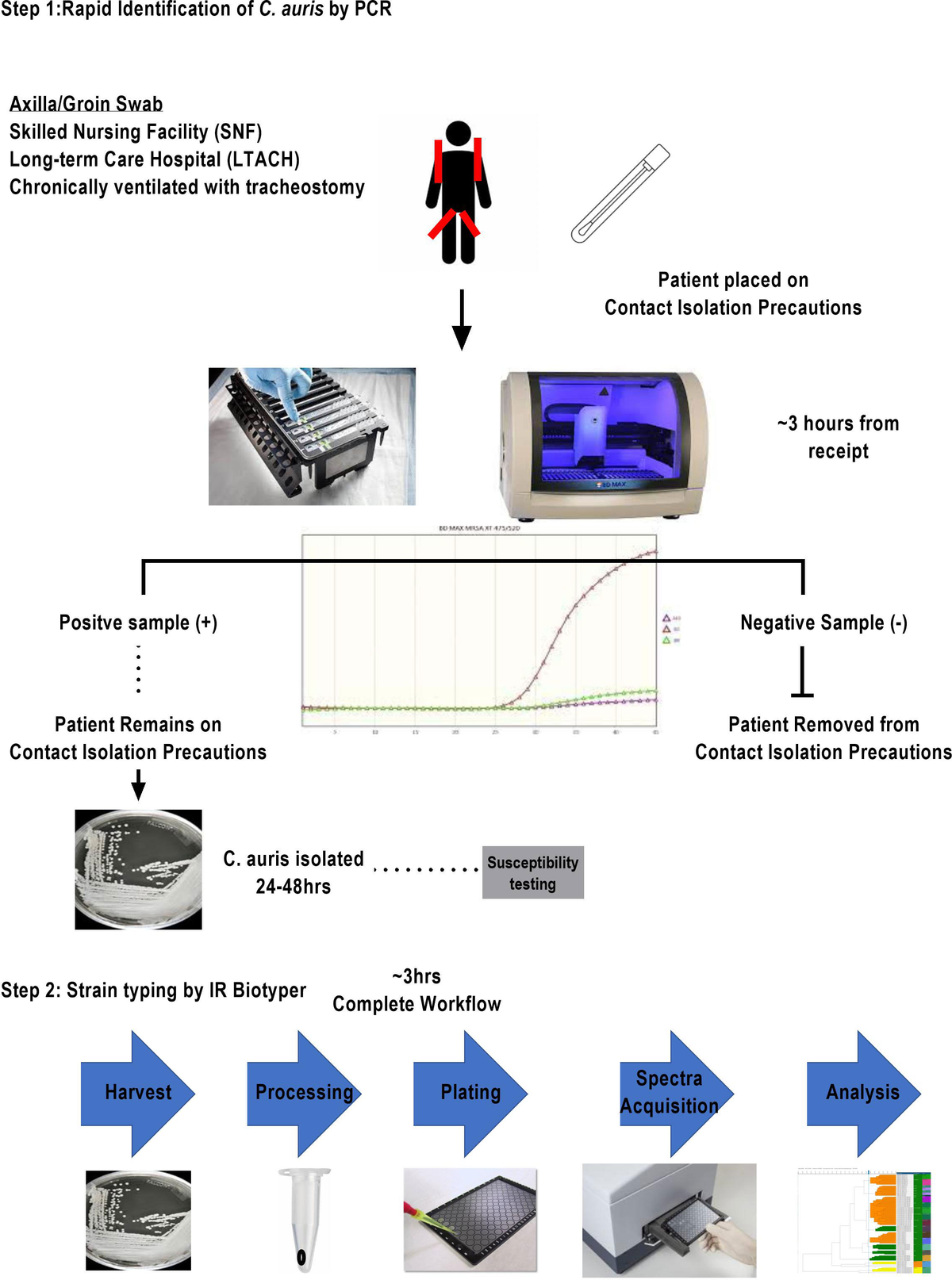 Frontiers | Surveillance diagnostic algorithm using real-time PCR assay and strain typing method ...