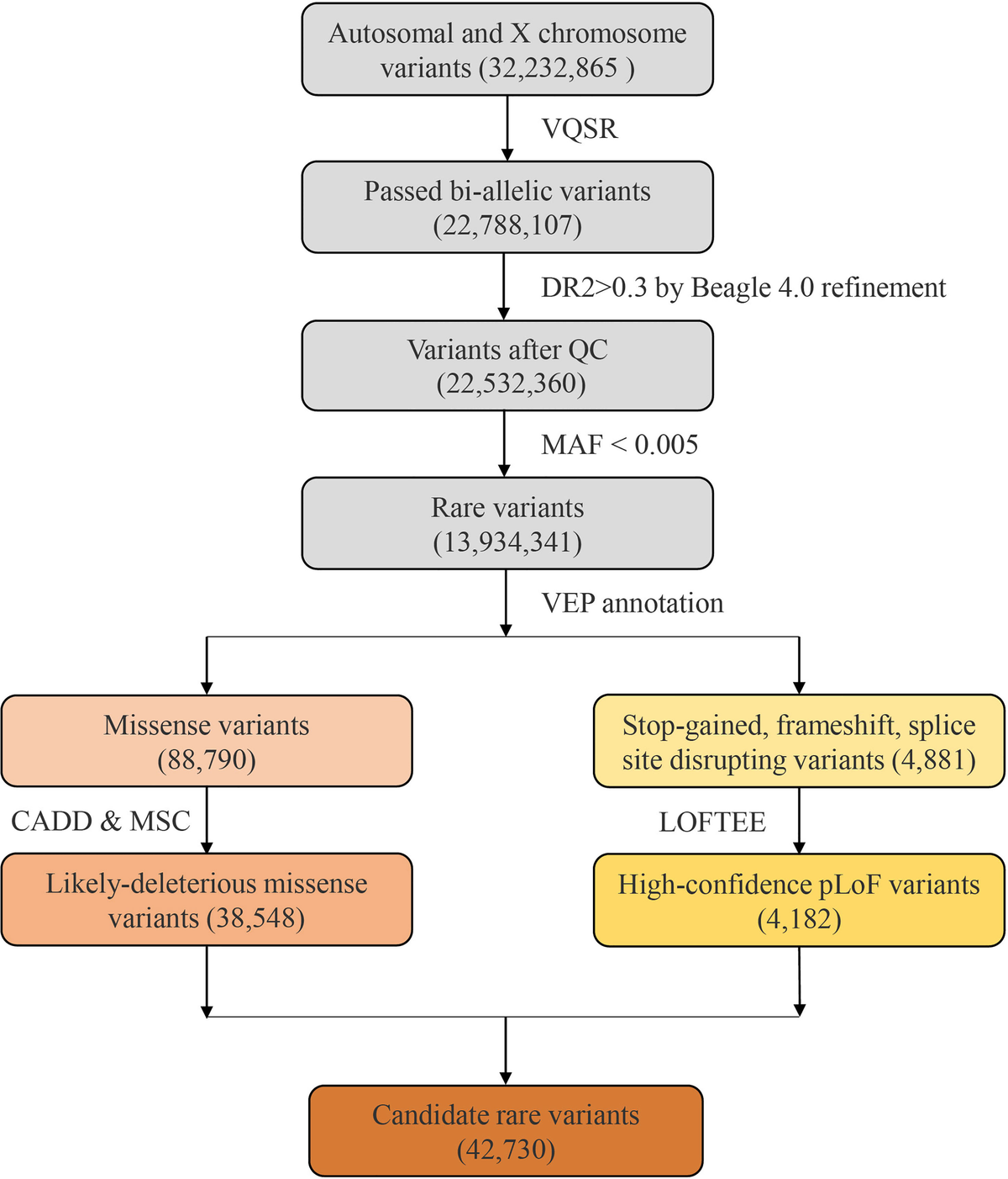 Frontiers Rare Variants In Inborn Errors Of Immunity Genes Associated