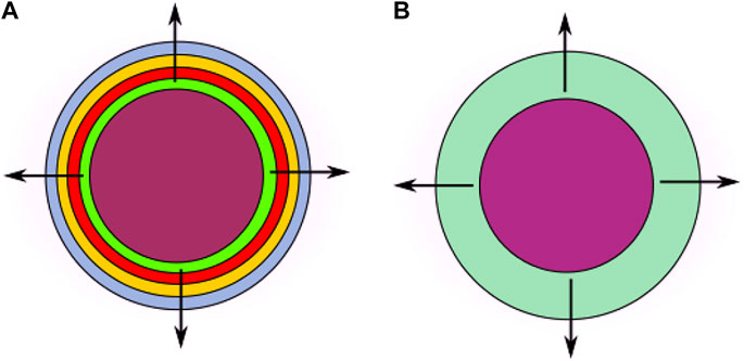 Frontiers | Characterization of the Shells in Layer-By-Layer ...
