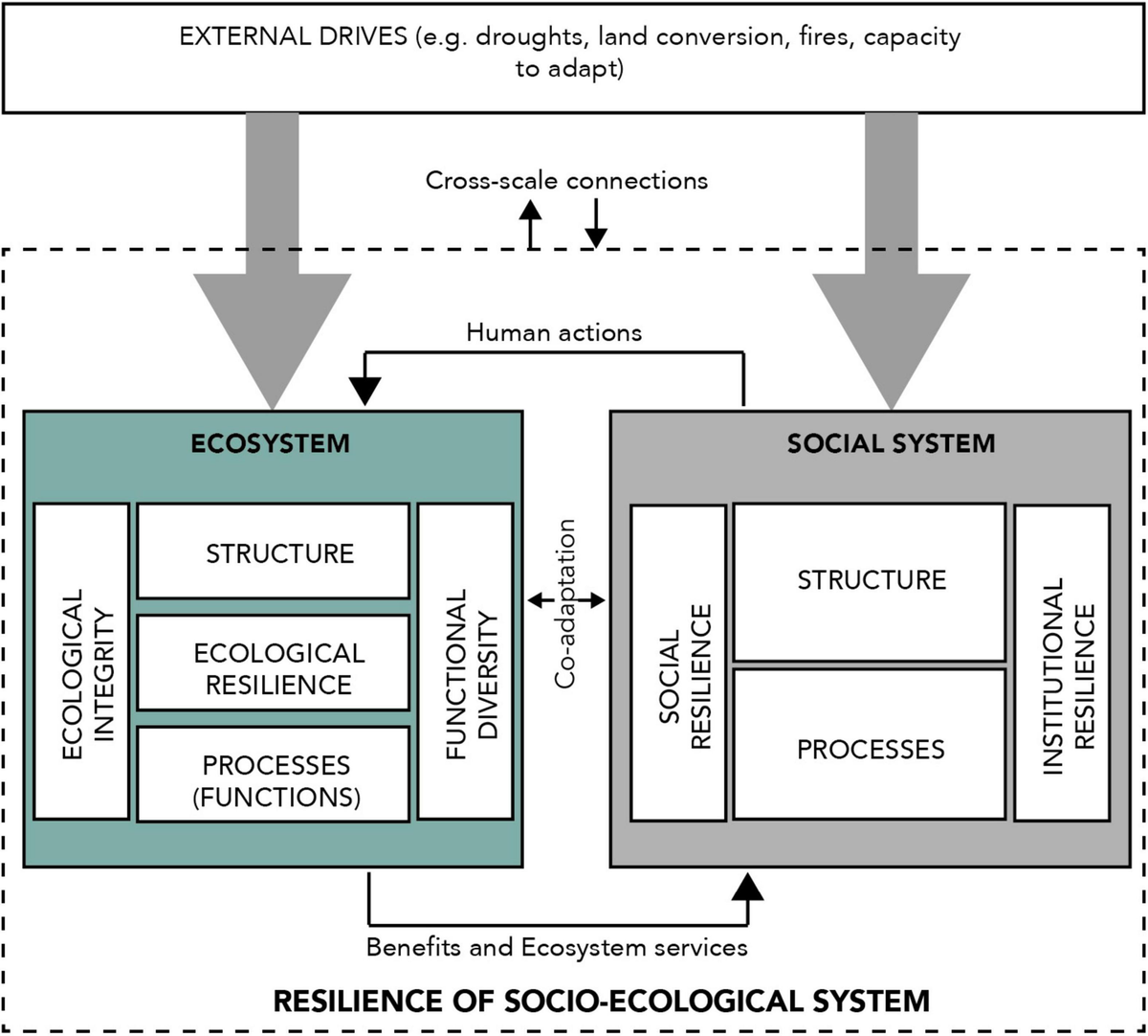 Frontiers | Quantifying resilience of socio-ecological systems through ...